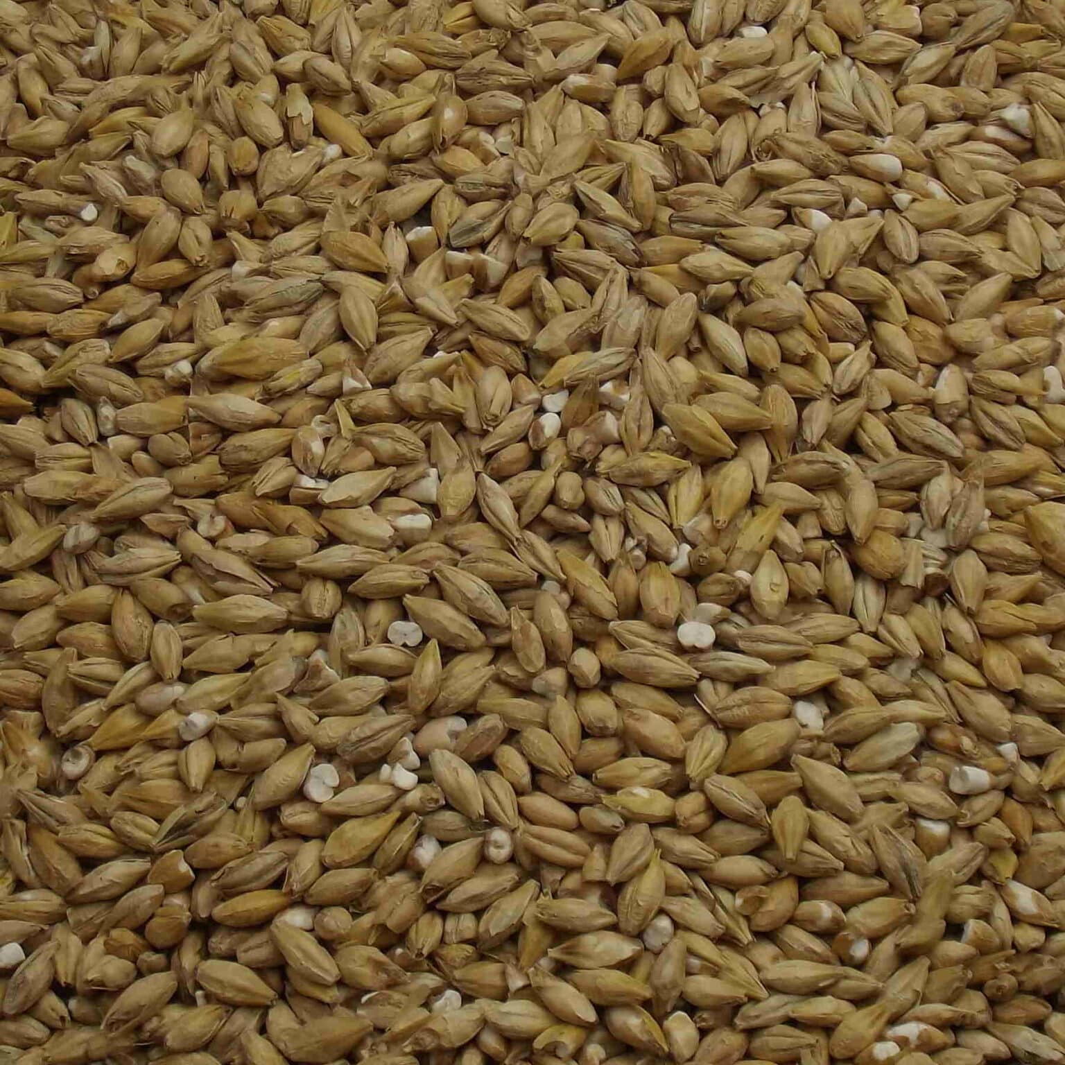 Acidulated Malt, Weyermann, EBC: 3 - 6 - Lund Teknik - Alt til ølbrygning