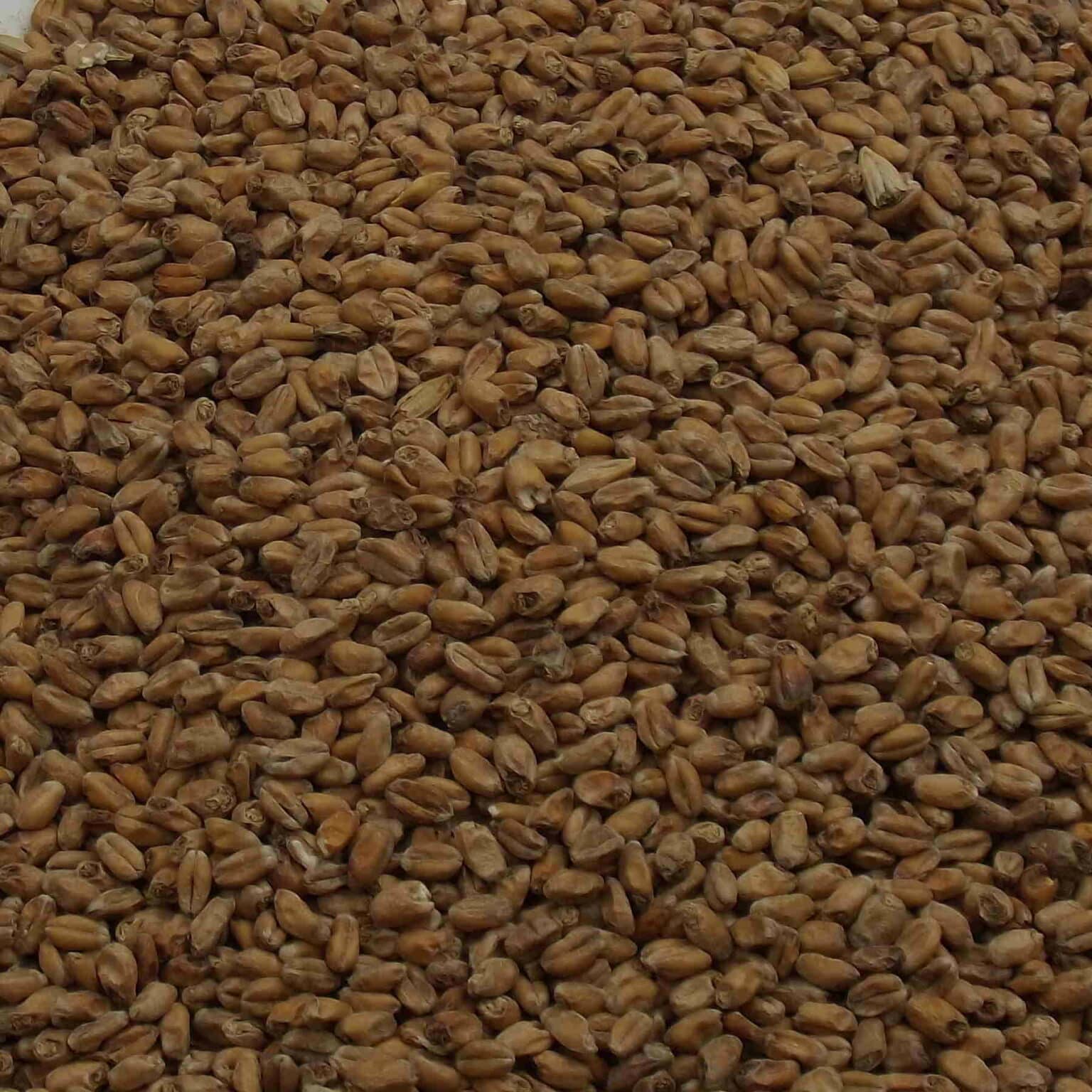 Wheat Malt - dark, Weyermann, EBC: 15 - 20, 25 kg - Lund Teknik - Alt ...